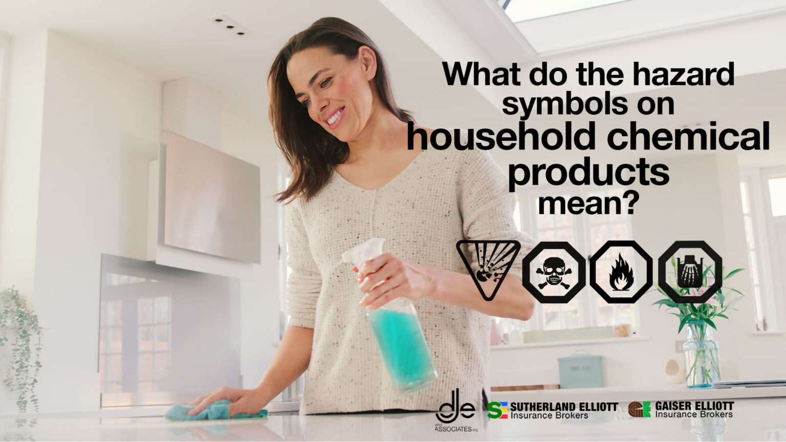 What do the hazard symbols on household chemical products mean? - DJE ...